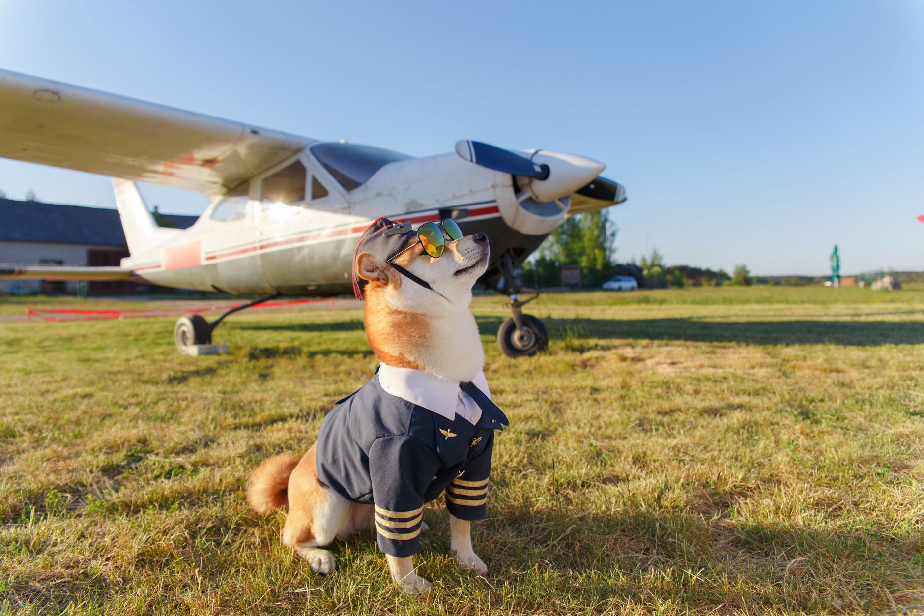 EU Pet Travel 2026: New Rules Taking Effect October 1